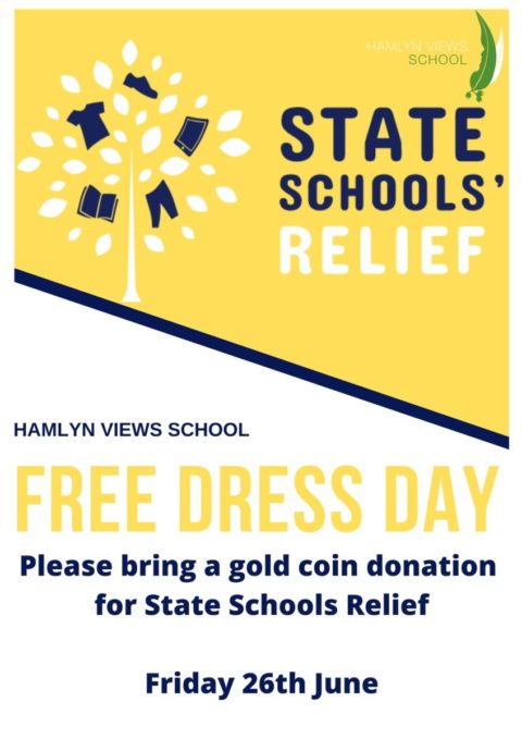Free Dress Fundraiser | Hamlyn Views School