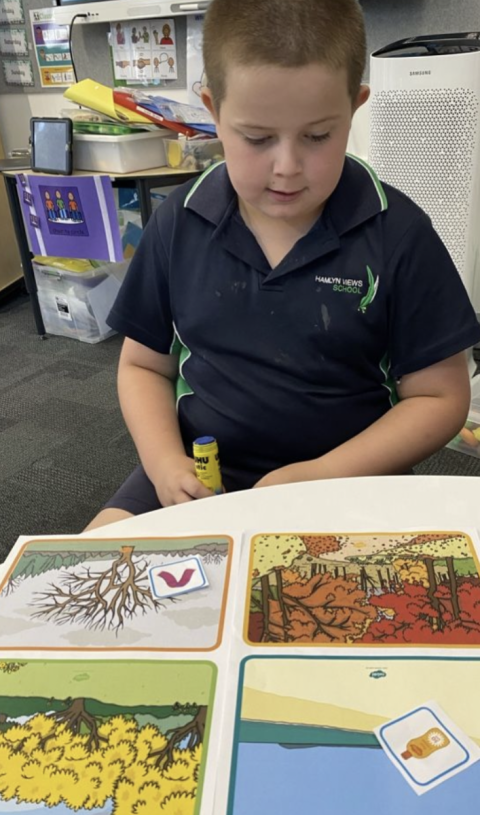 Curriculum | Hamlyn Views School